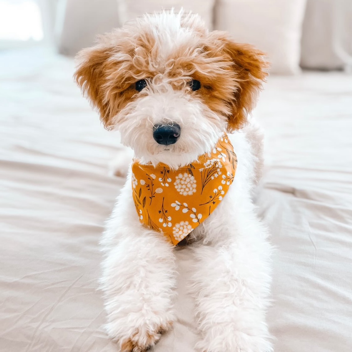 Classes & Presenters, Pinners Conference & Expo, Pinners, Pinterest ...